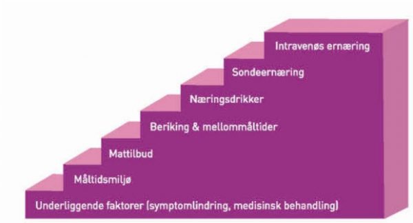 Ernæringsnettverket i Akershus er i gang - Kompetansebroen