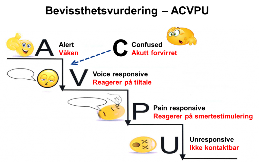 Klinisk observasjonskompetanse - Grunnleggende ferdigheter ...