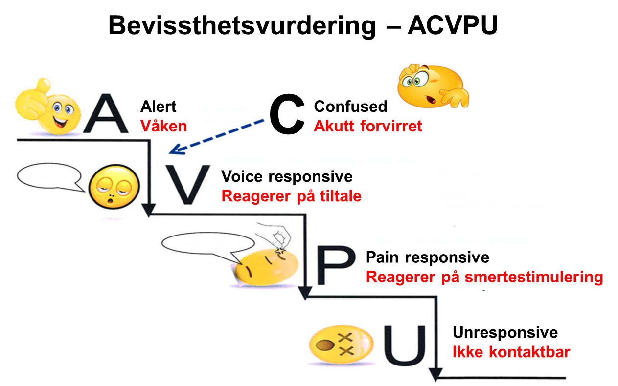 Klinisk observasjonskompetanse - Grunnleggende ferdigheter ...